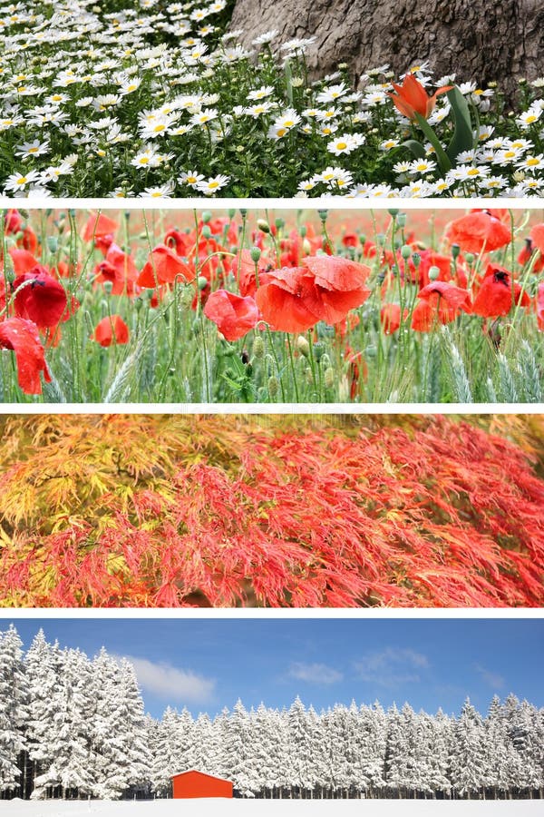 Four season collage stock photo. Image of scene, covered - 64760430