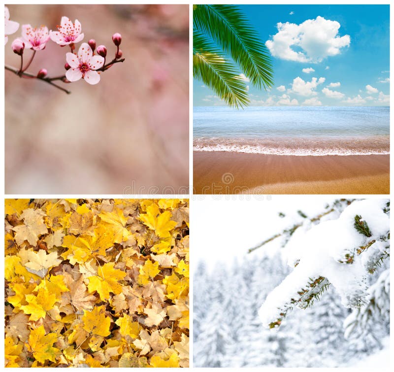 Four Season Conceptual Collage Stock Image - Image of autumn, spring ...
