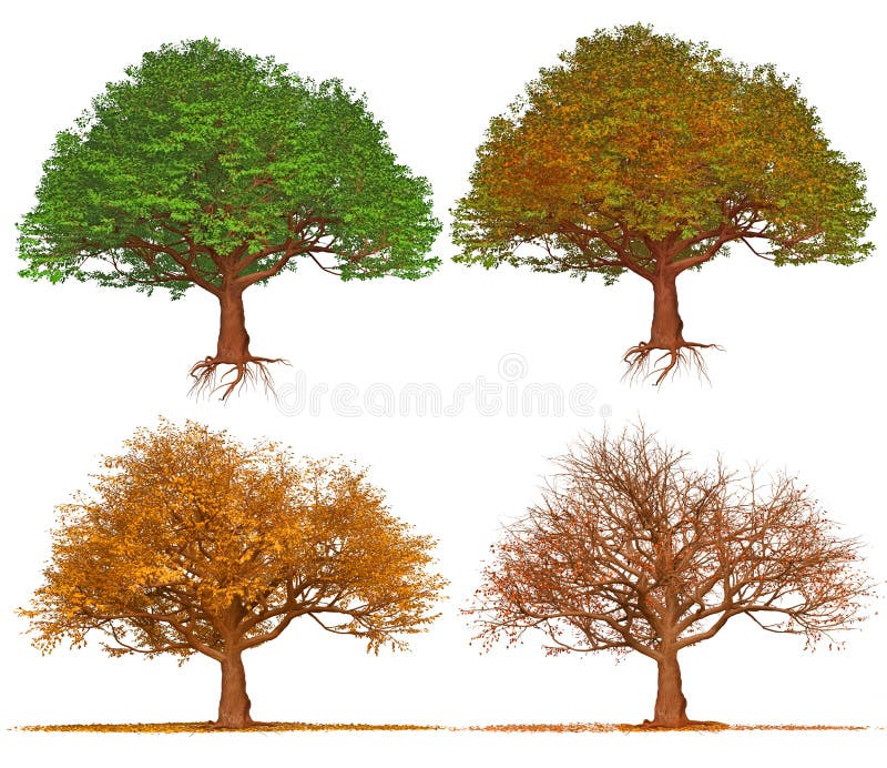 Season trees stock vector. Illustration of filigree, circle - 3008033