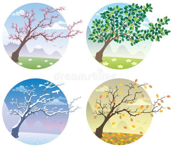 Four Seasons stock vector. Illustration of isolated, fall - 20599637