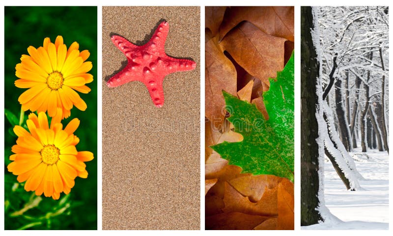 Four Seasons Textured Collage. Stock Image - Image of text, brown: 20848453