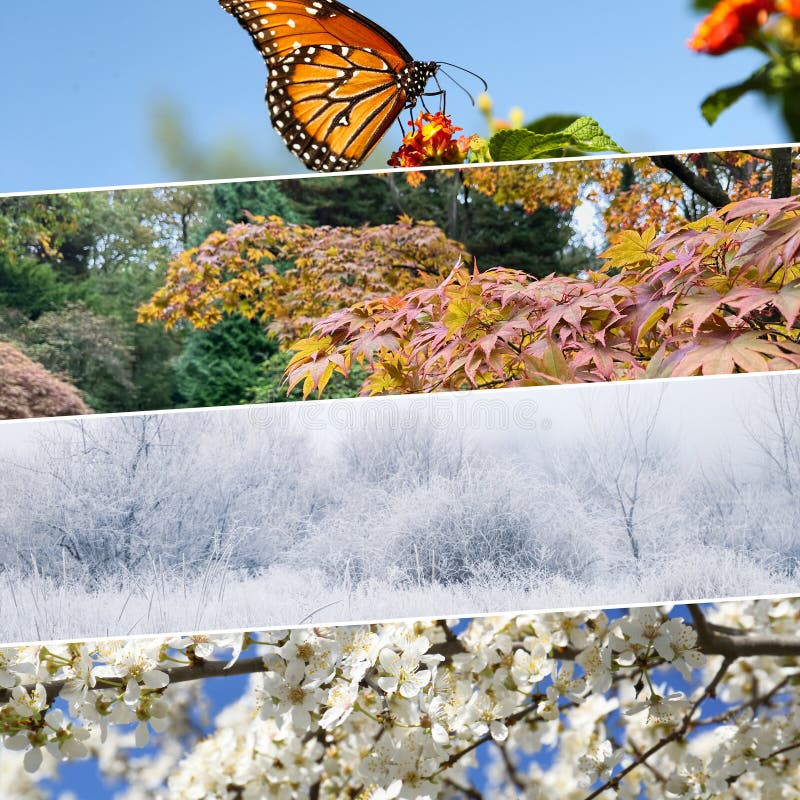 Four Seasons, Collage. Beautiful Photos of Nature during Spring, Summer ...