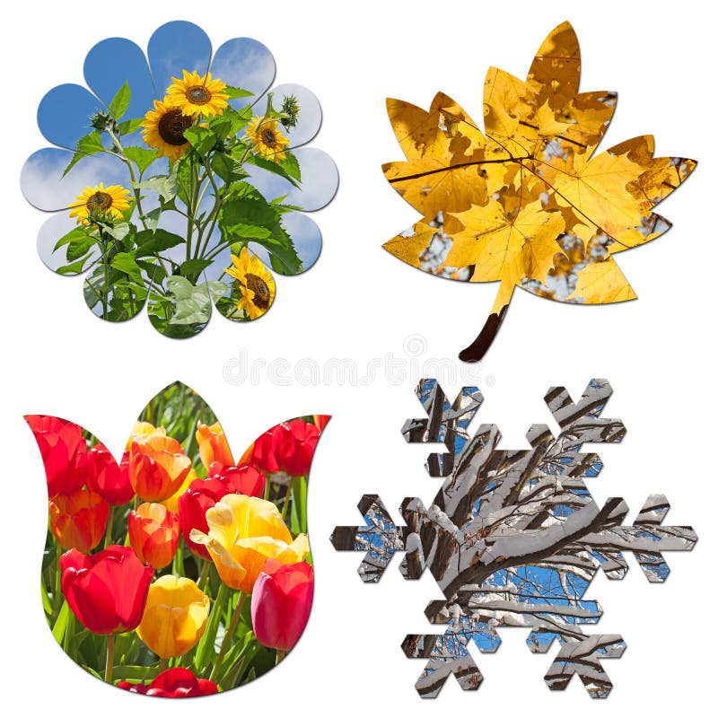Four seasons in a collage stock photo. Image of season - 375807748
