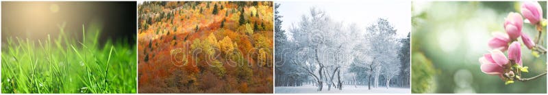 Four Seasons. Collage Design with Beautiful Photos of Nature Stock ...