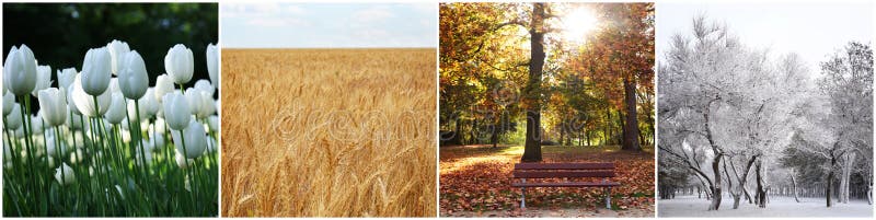 Four Seasons. Collage Design with Beautiful Photos of Nature Stock ...