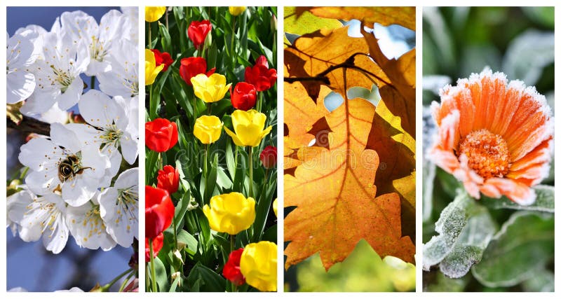Four Seasons Collage: Spring, Summer, Stock Image - Image of four ...