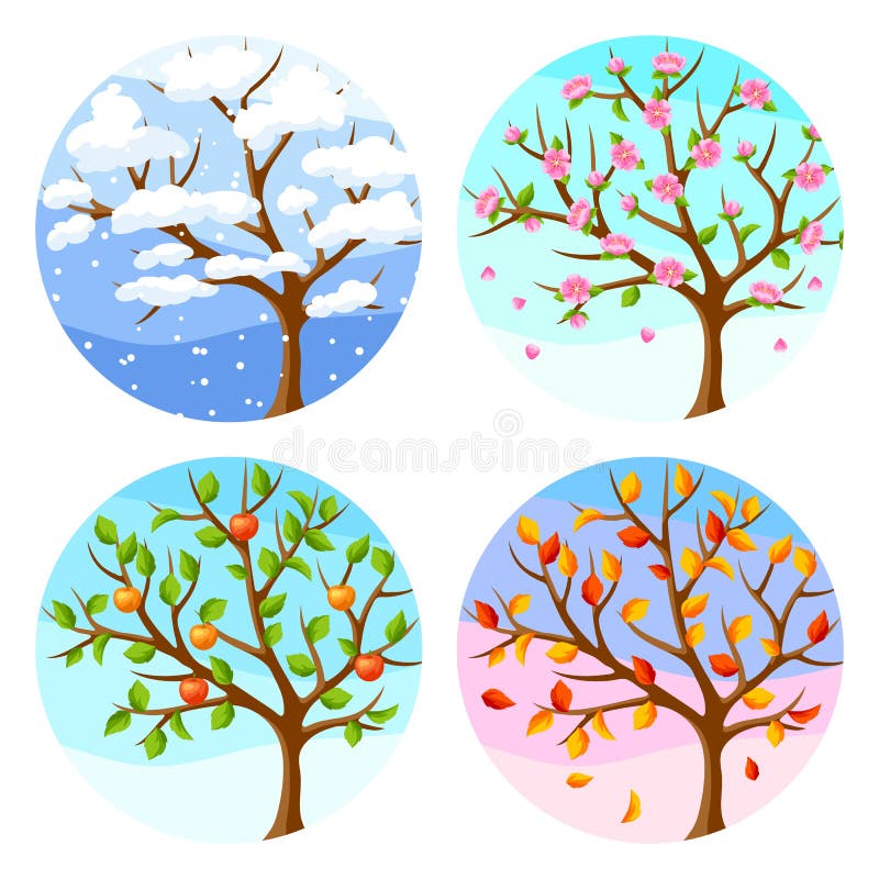 Four Seasons. Illustration of Tree and Landscape in Winter, Spring ...