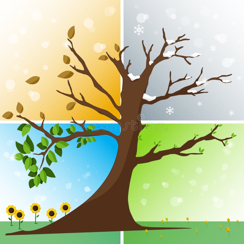 Four seasons in one tree stock vector. Illustration of life - 87441399
