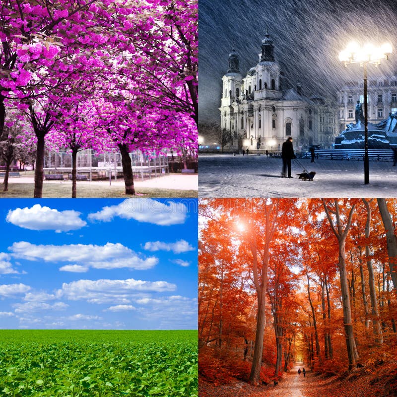 Four seasons in nature stock image. Image of flower, creative - 7455763