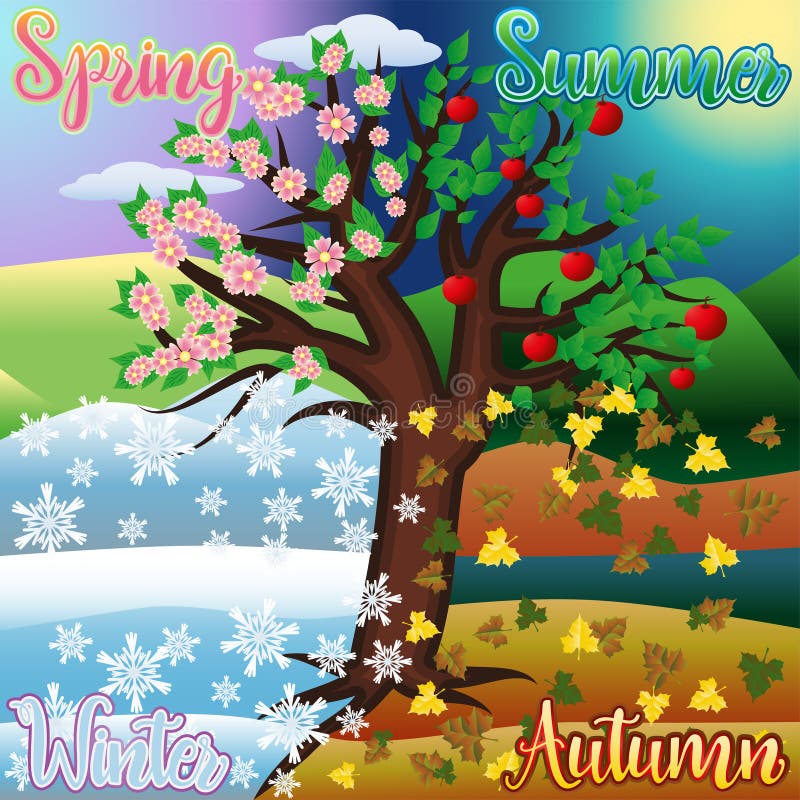 Four Seasons Tree Banner, Vector Stock Vector - Illustration of hills ...