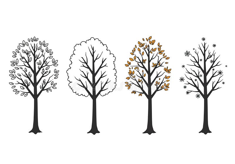 Four seasons tree drawing stock vector. Illustration of spring - 388983581