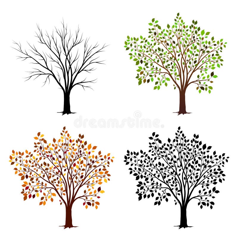 Four Seasons of Tree. Vector Illustration Stock Vector - Illustration ...