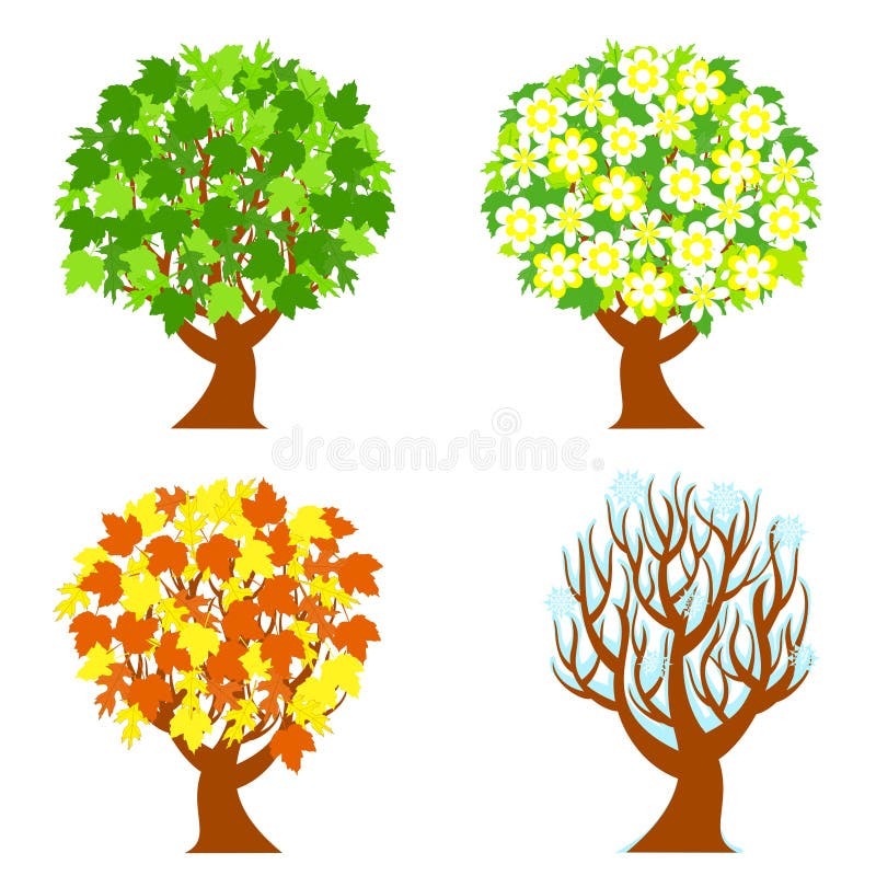 Four seasons trees stock vector. Illustration of element - 16991727