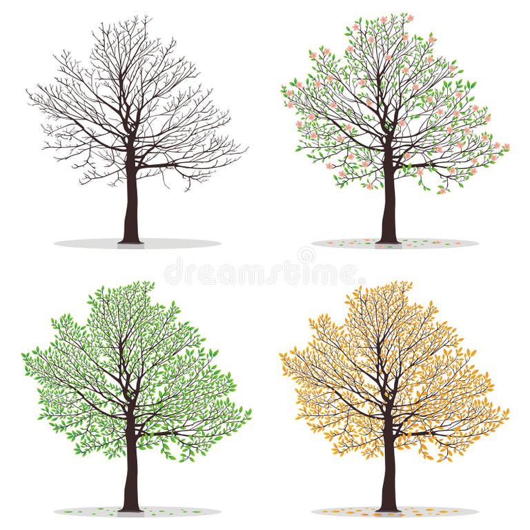Four Seasons Trees Stock Illustrations – 1,758 Four Seasons Trees Stock ...
