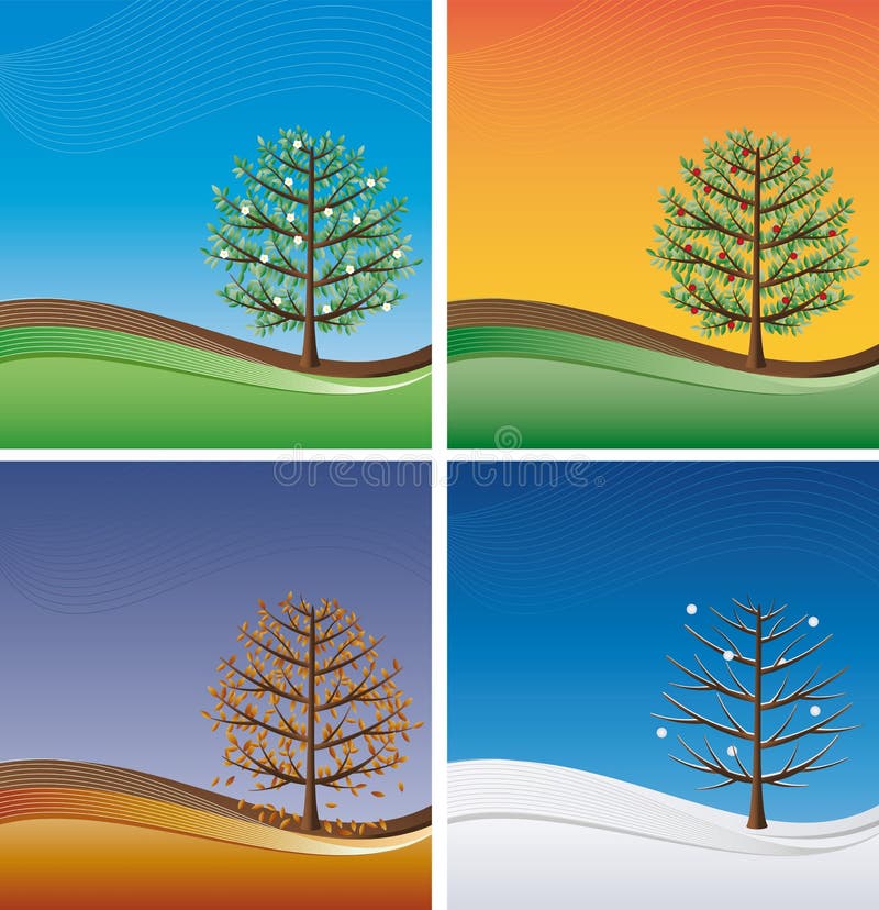 Four seasons of a tree stock vector. Illustration of flower - 12352425