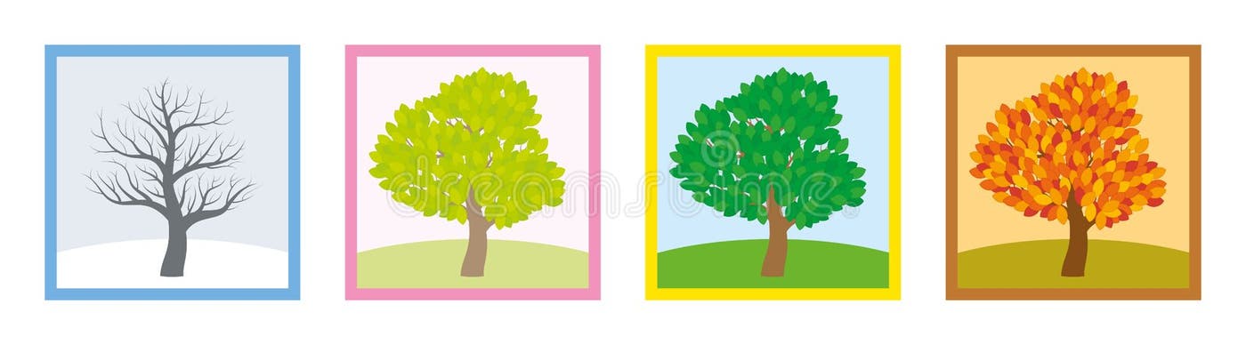 Four Seasons Trees Stock Illustrations – 1,758 Four Seasons Trees Stock ...
