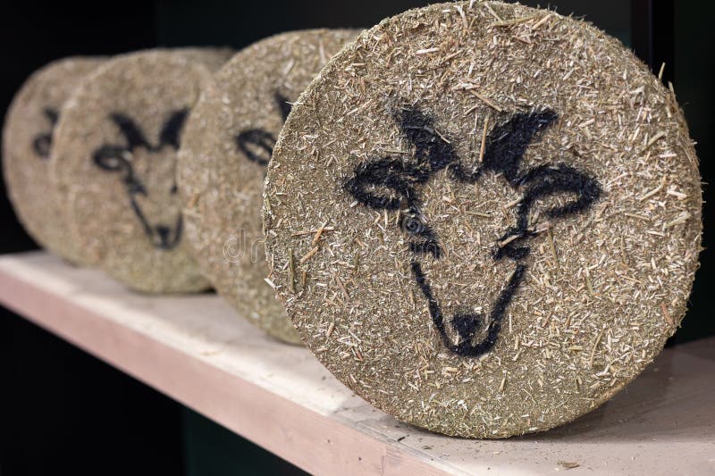 Four Shapes of Italian Cheese with Sheep Face Overlays Editorial Stock ...