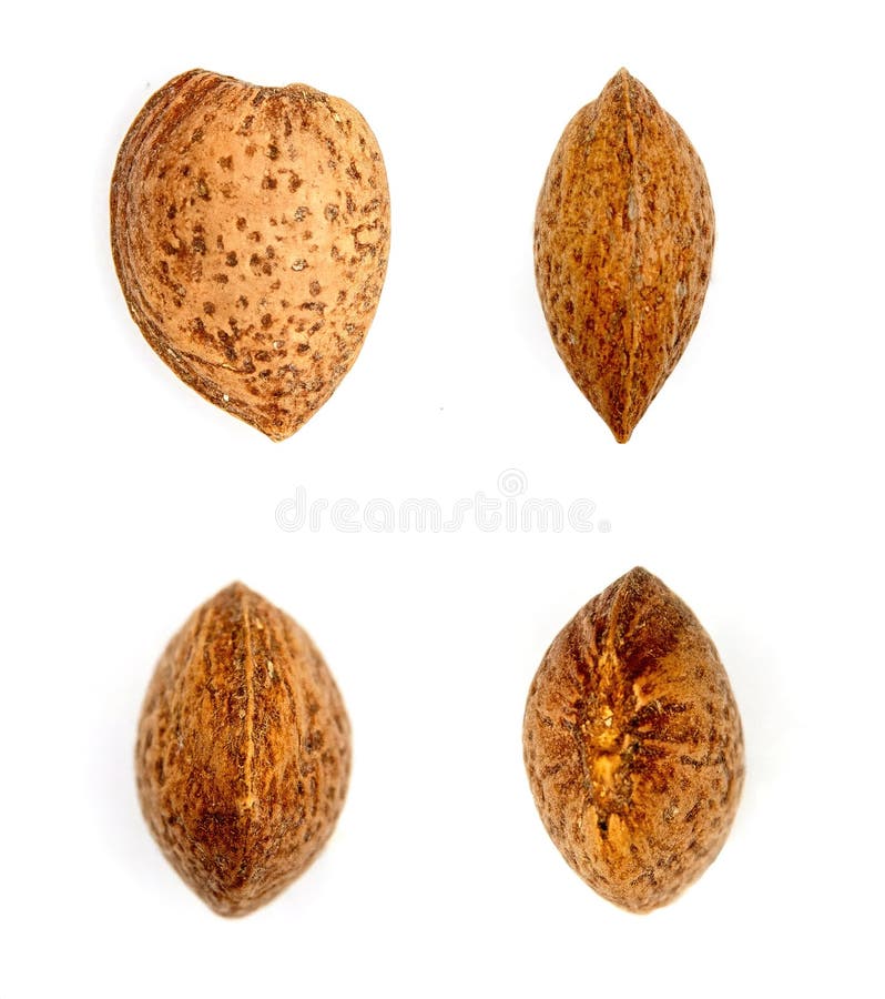Four-sided Snapshots of Almond Stock Image - Image of nature, lifestyle ...
