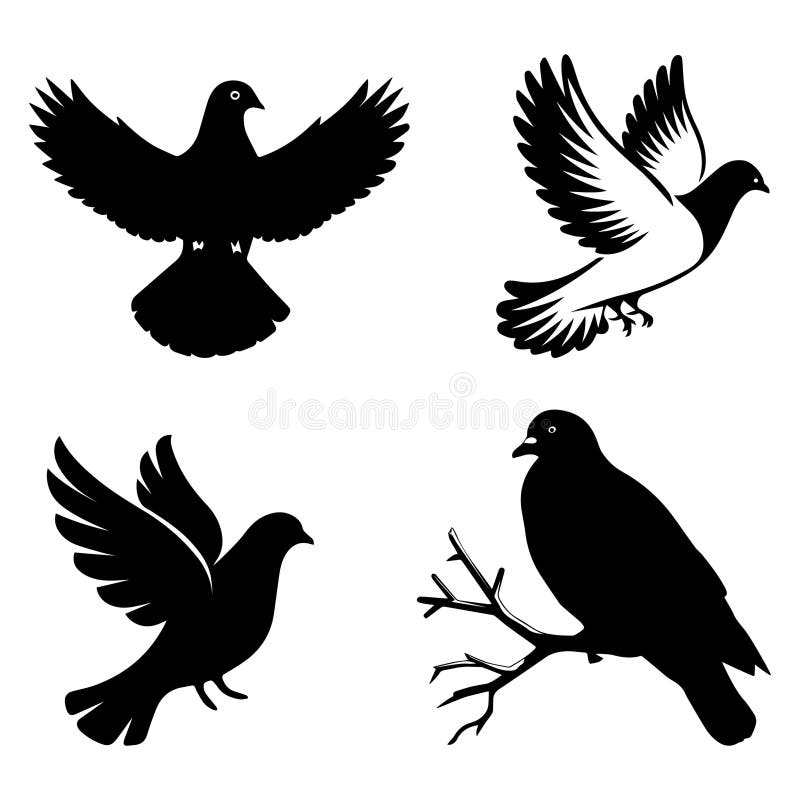 Four Silhouettes of Doves in Flight and Rest Stock Illustration ...