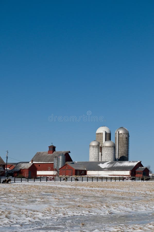 Wisconsin Dairy Farm in the Winter Stock Photo - Image of barn, farm ...