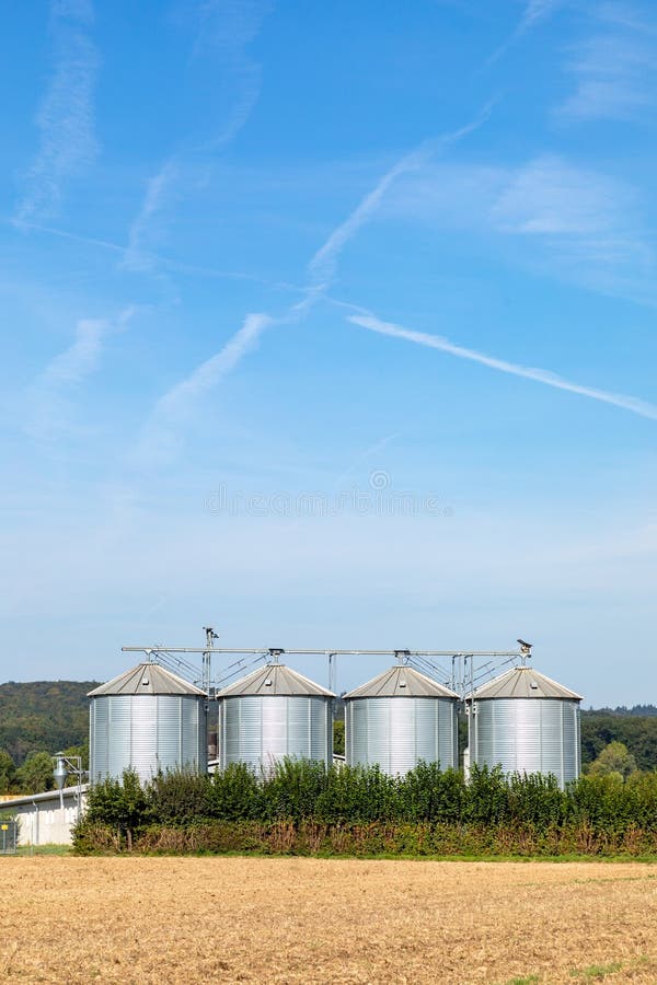 Four Silos in Front of Blue Sky Stock Photo - Image of outdoors, metal ...