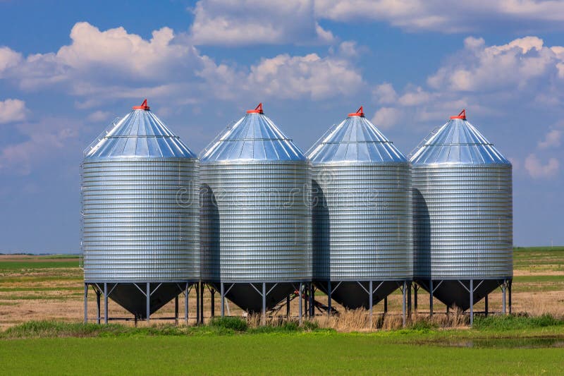 Four Silos are Standing in a Field Stock Photo - Image of country ...