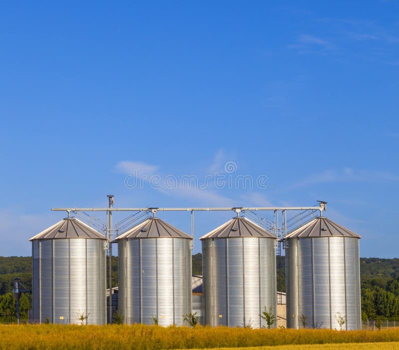 Four silver silos stock photo. Image of nature, field - 36229658
