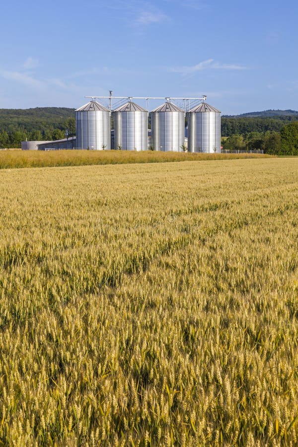 Four Silos in Front of Blue Sky Stock Photo - Image of outdoors, metal ...
