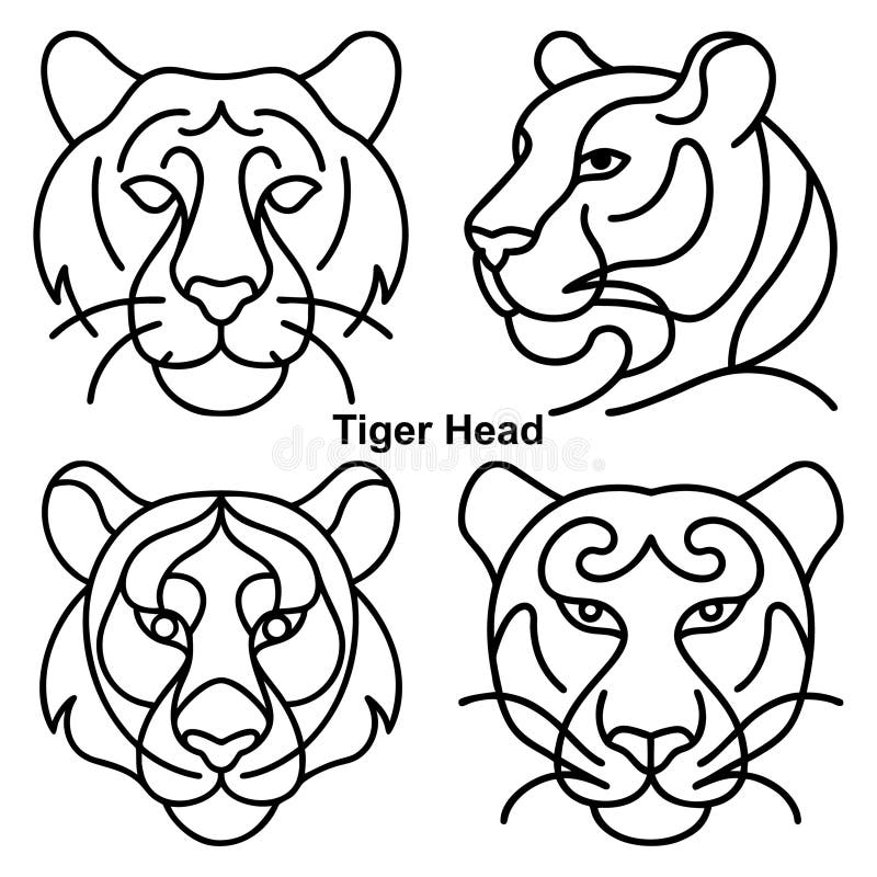Tiger Head Outlines in Four Different Views on a Transparent Background ...