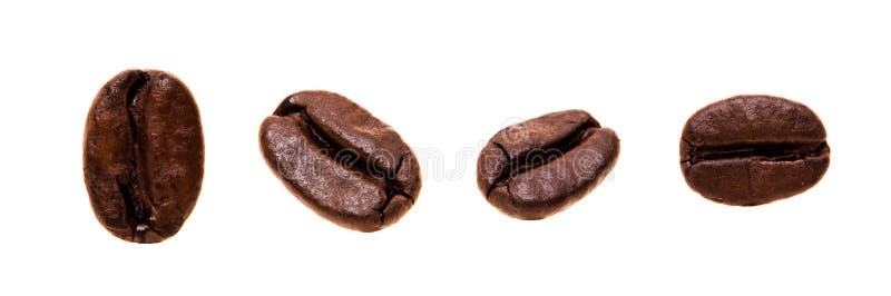Single coffee bean stock photo. Image of agriculture, taste - 5262956