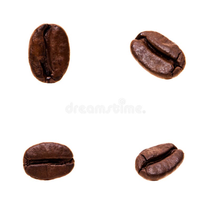 Single coffee bean stock photo. Image of agriculture, taste - 5262956