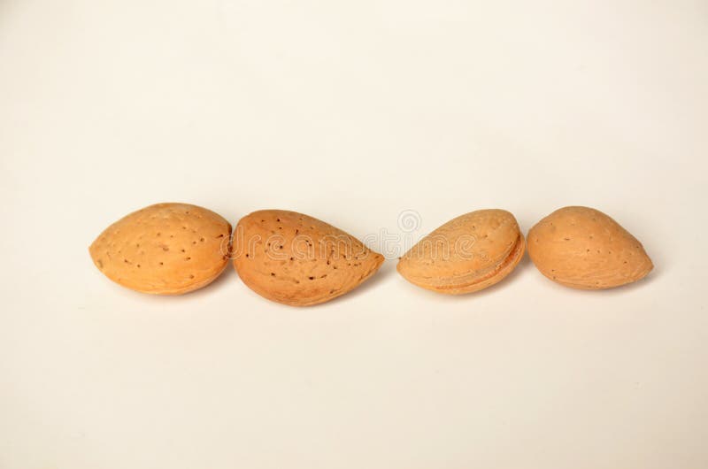 The Four Small Brown Colour Almond Isolated in White Background Stock ...