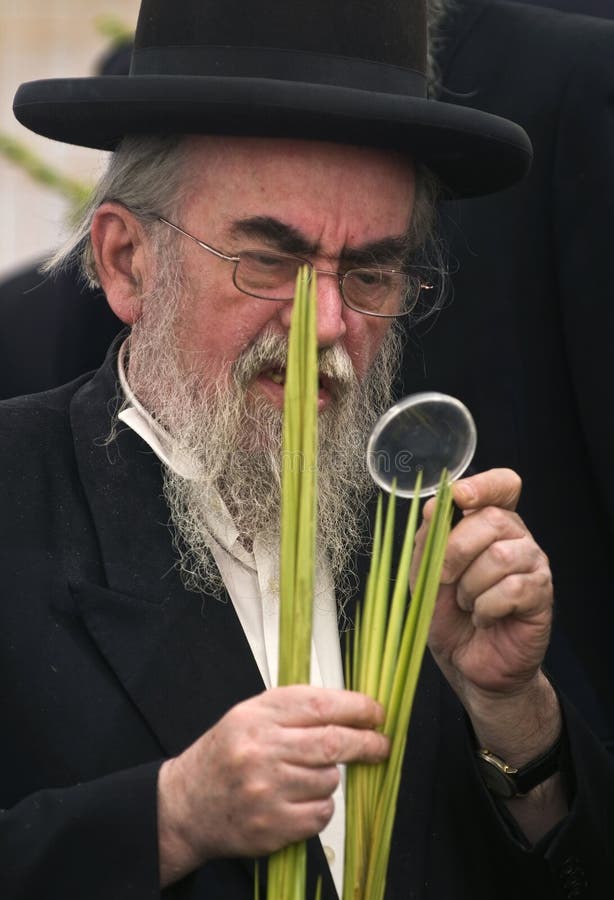 The Four species market editorial photography. Image of inspection ...