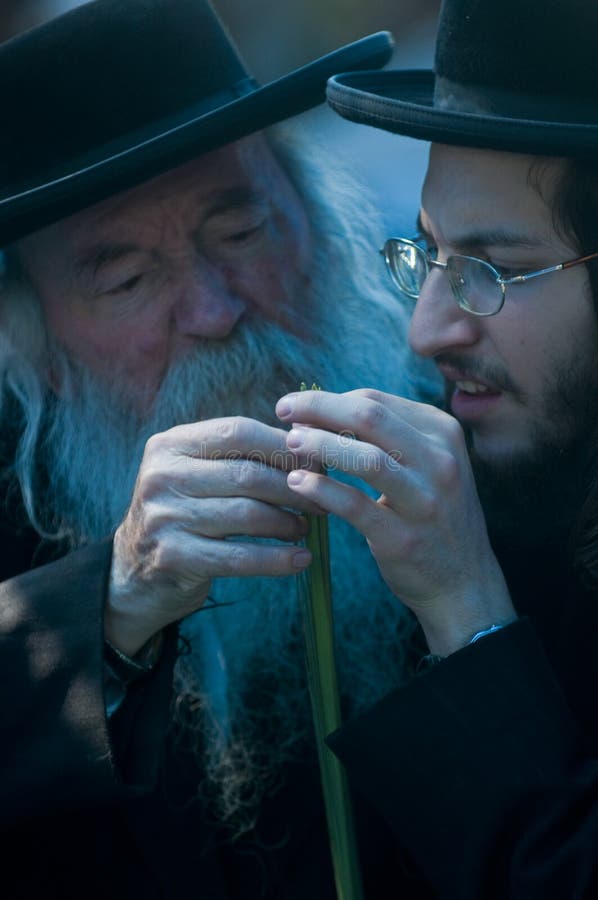 The Four species market editorial photography. Image of inspection ...