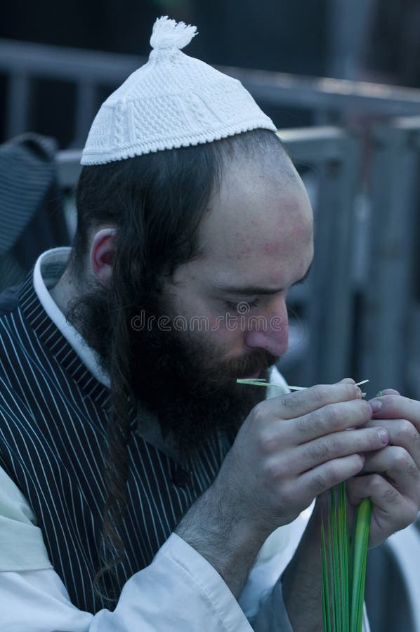 The Four species market editorial photography. Image of inspection ...