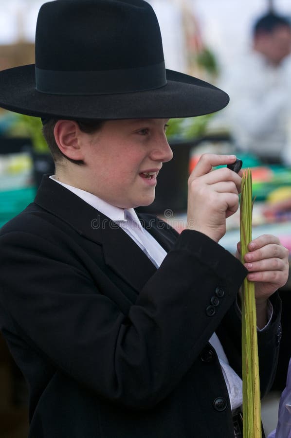 The Four species market editorial photography. Image of succos - 21583112