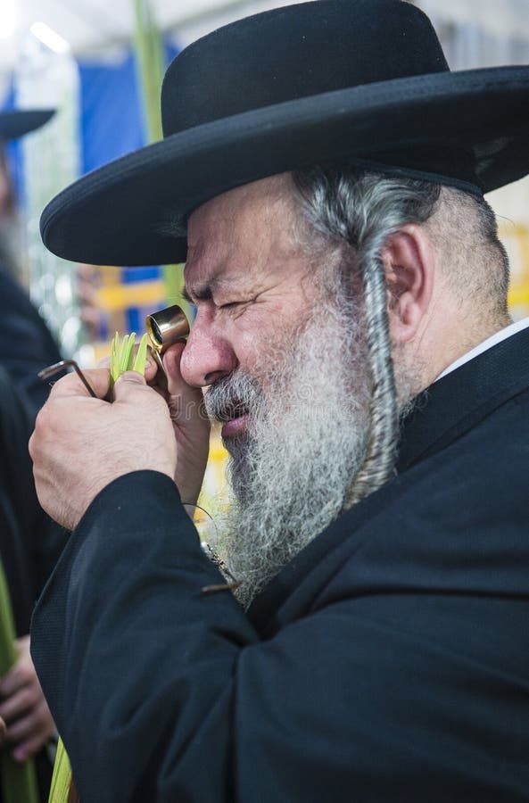 The Four species market editorial photography. Image of inspection ...