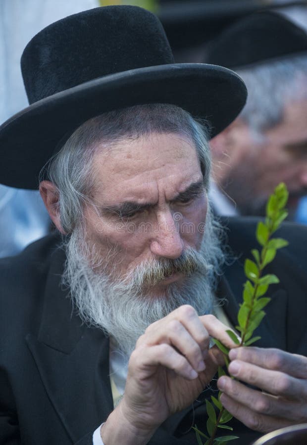 The Four species market editorial photography. Image of inspection ...