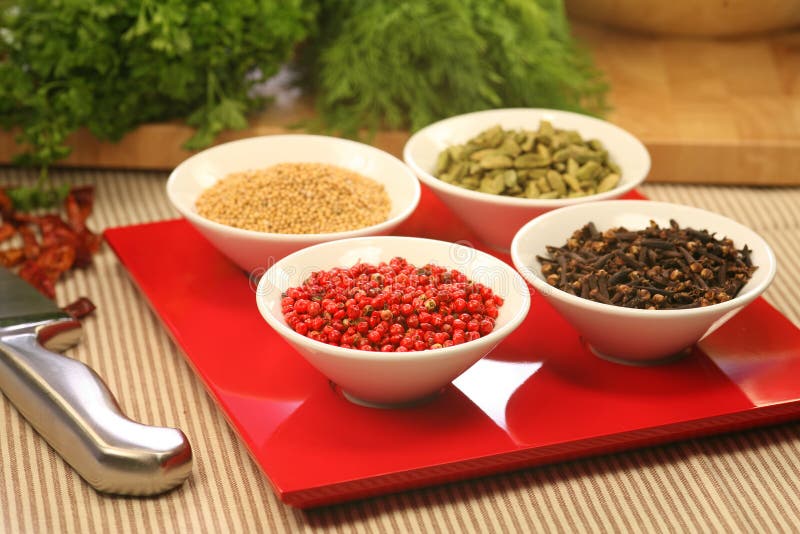 Four spices stock image. Image of taste, cooking, spicy - 3879645
