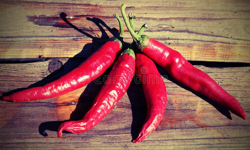 Four Spicy Chillies on a Wooden Table Stock Photo - Image of ancient ...