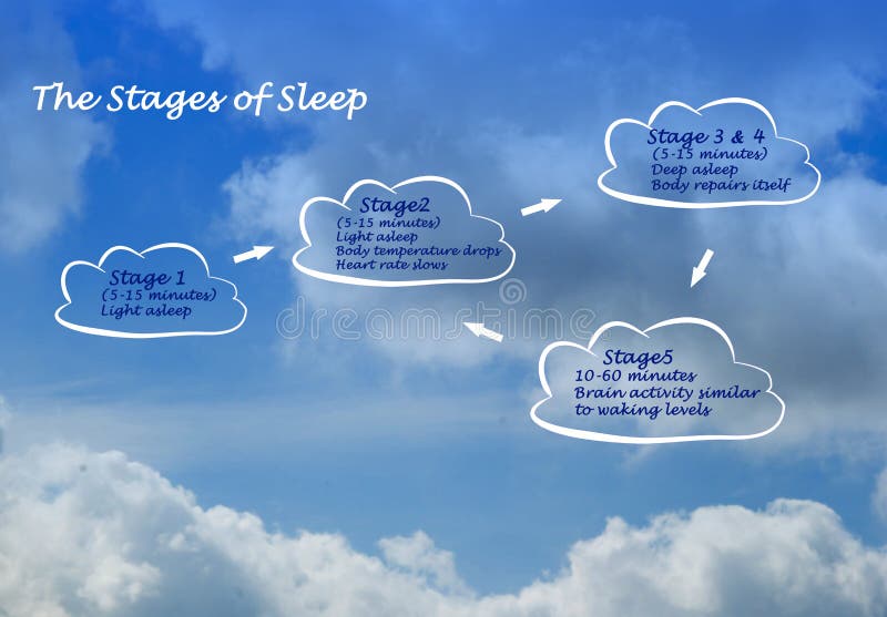 Stages of Normal Sleep stock photo. Image of brain, heart - 179366504