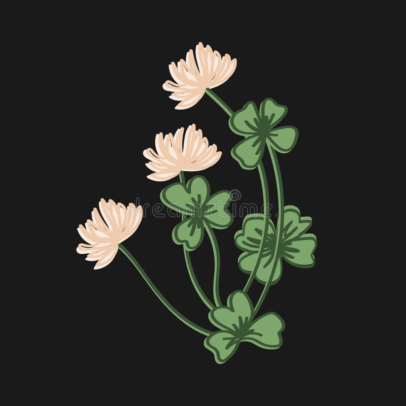 Four and Three Leaf Clover and Clover Flower. Meadow Plant Stock Vector ...