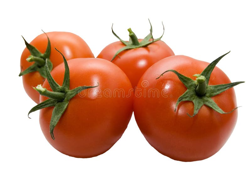 Four Tomato stock photo. Image of sauce, shape, kitchen - 15777234