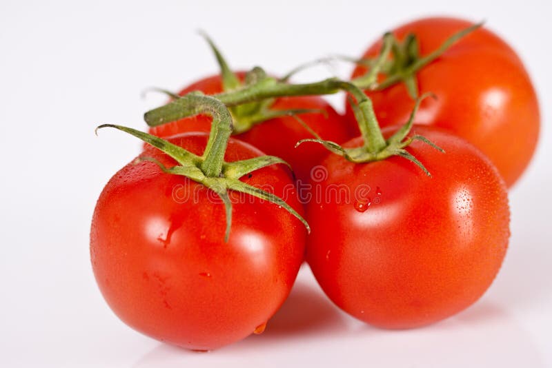 Four tomatoes stock image. Image of healthy, food, shot - 14290705