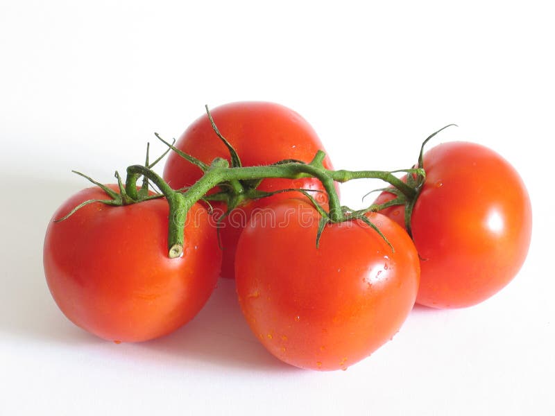 Four Tomatoes stock photo. Image of dessert, food, meal - 18698