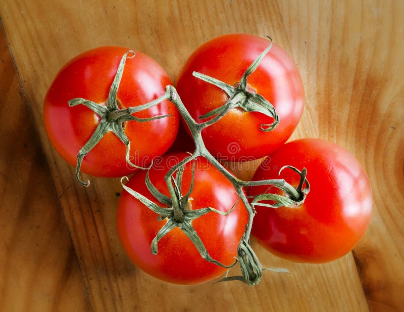 Four wet tomatoes stock photo. Image of round, macro - 15076252