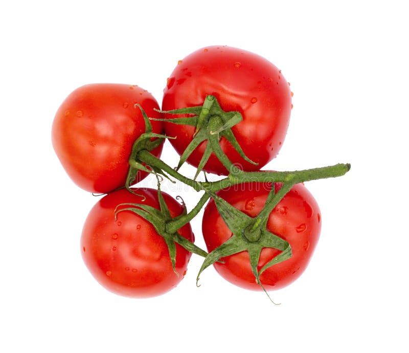 Four Tomatoes on the White Board Stock Photo - Image of table, board ...