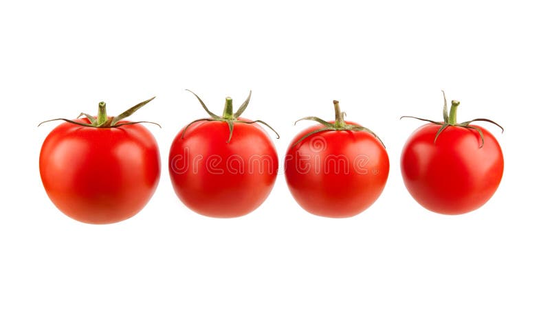 Four tomatoes stock image. Image of healthy, tangy, stem - 45632945