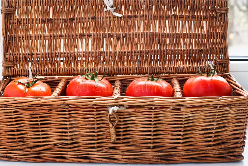 Four Tomatoes in Wicker Retro Box Stock Photo - Image of leaf, wicker ...