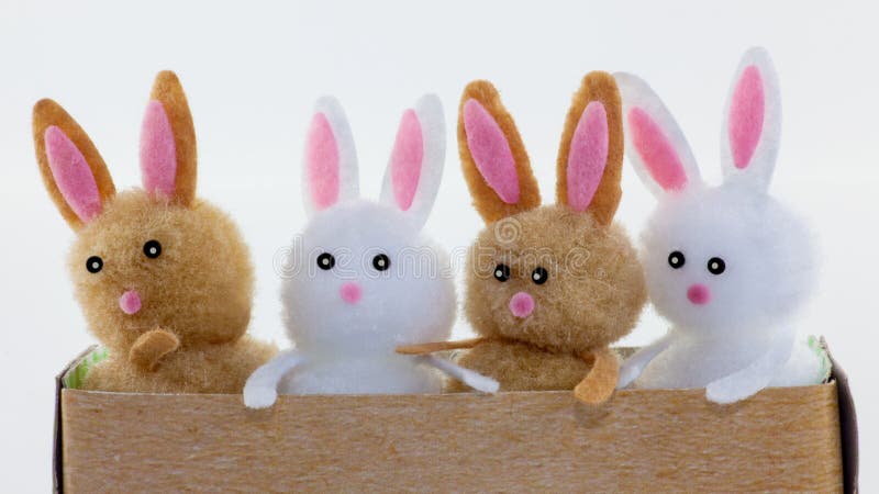 Four toy bunnies stock image. Image of four, holiday - 51802505